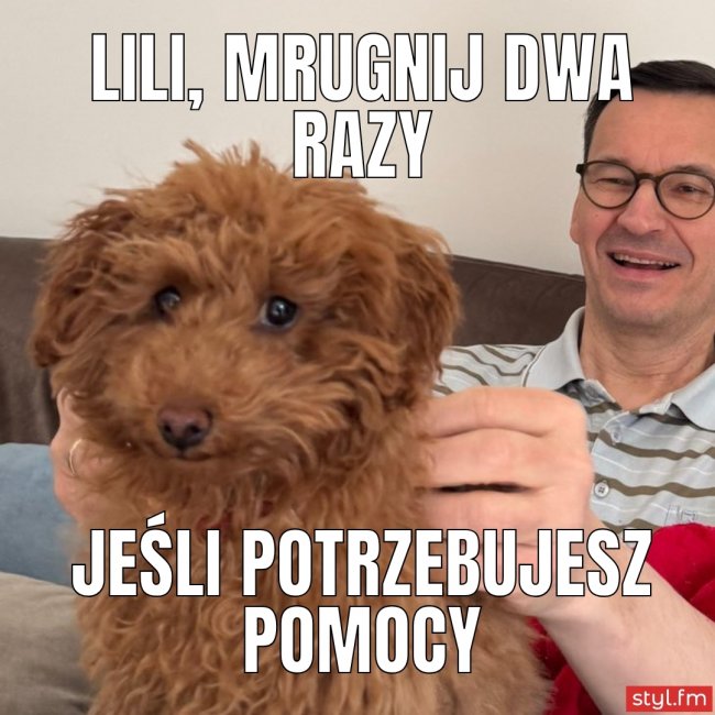 Mati w pasiaku zapozował z psem. Mina czworonoga wyraża więcej niż ...